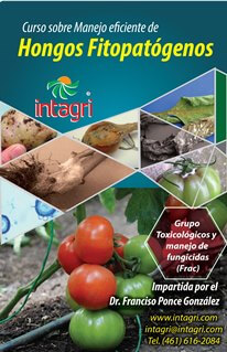 Curso virtual: Curso sobre Manejo Eficiente de Hongos Fitopatógenos - Inicio | Intagri S.C.